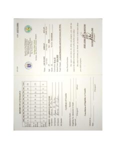 Upload a PDF File Containing Your Grade Records as Described in the Requirements Above. Your ...