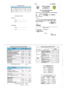Upload a PDF File Containing Your Grade Records as Described in the Requirements Above. Your ...
