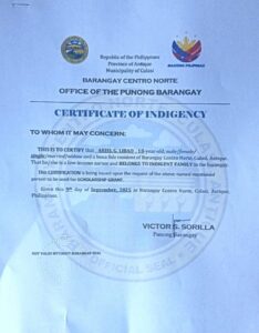 Upload a PDF File of the latest Bureau of Internal Revenue Income Tax ...